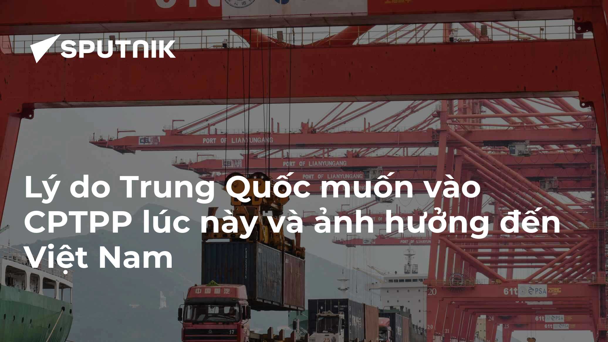 Lý do Trung Quốc muốn vào CPTPP lúc này và ảnh hưởng đến Việt Nam - 20. ...
