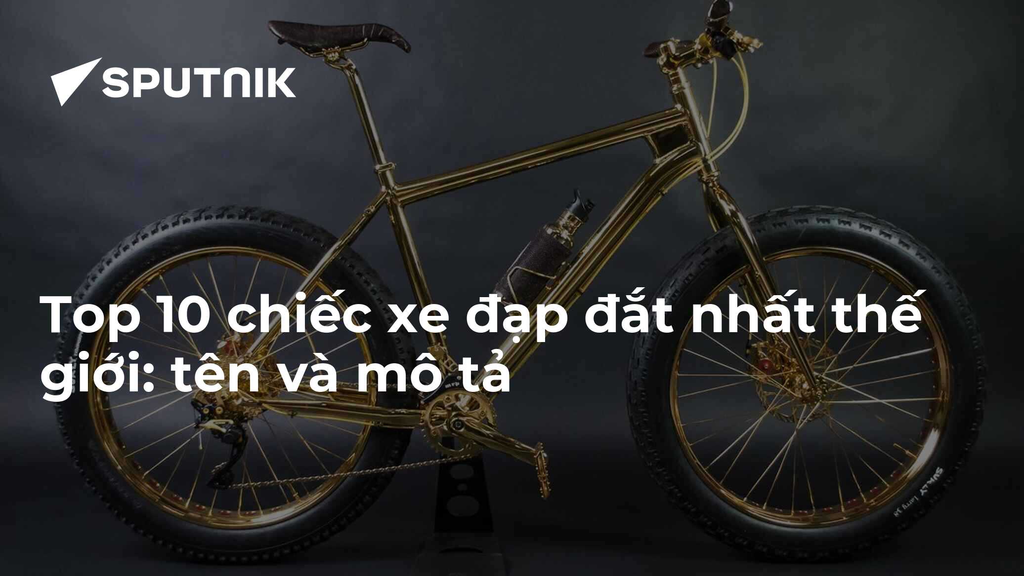Top 10 chiếc xe đạp đắt nhất thế giới: tên và mô tả