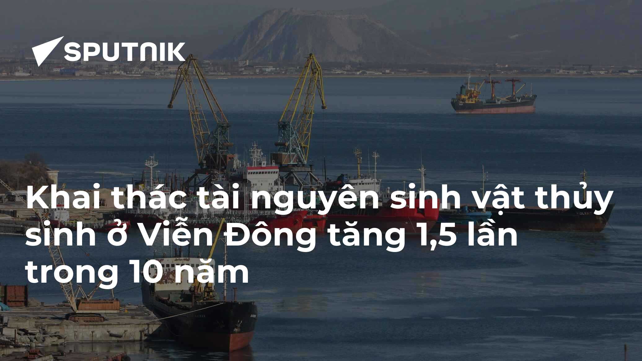 Khai thác tài nguyên sinh vật thủy sinh ở Viễn Đông tăng 1,5 lần trong ...