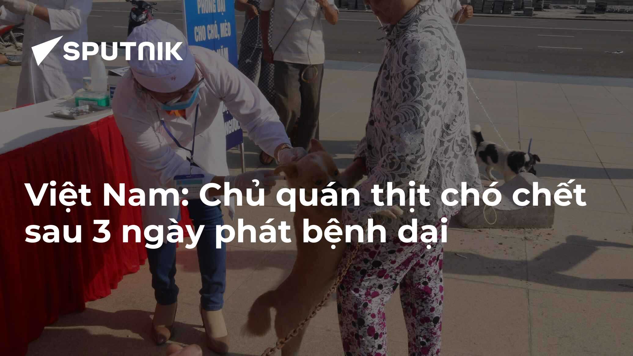 Việt Nam: Chủ quán thịt chó chết sau 3 ngày phát bệnh dại - 20.12.2024 ...