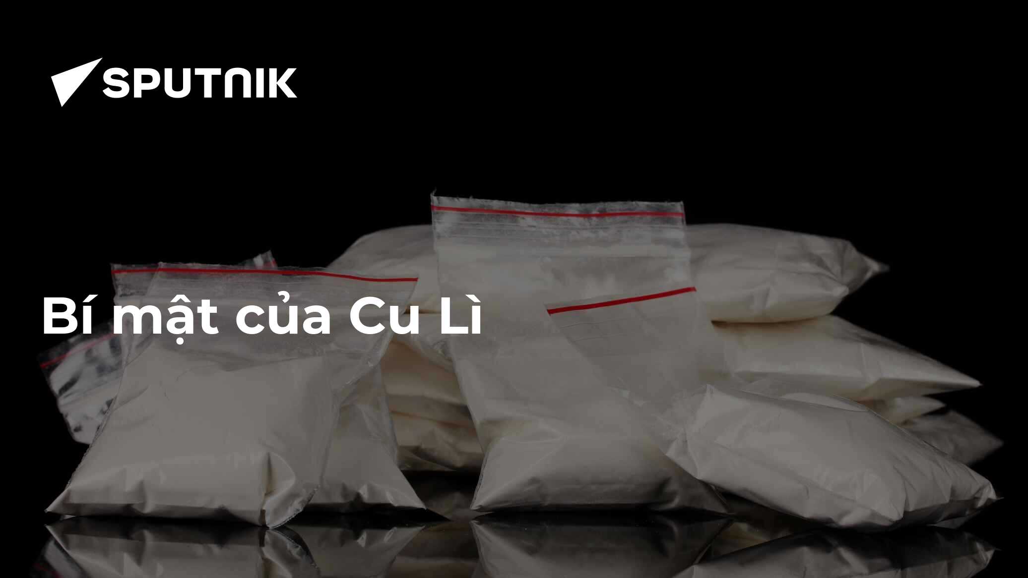 Bí mật của Cu Lì - 22.12.2024, Sputnik Việt Nam