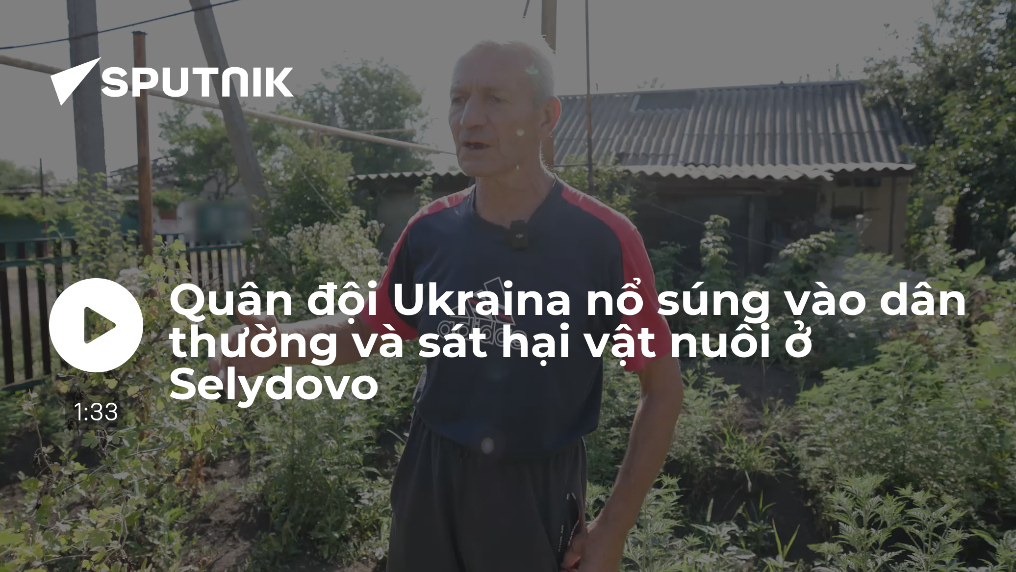 Quân đội Ukraina nổ súng vào dân thường và sát hại vật nuôi ở Selydovo ...