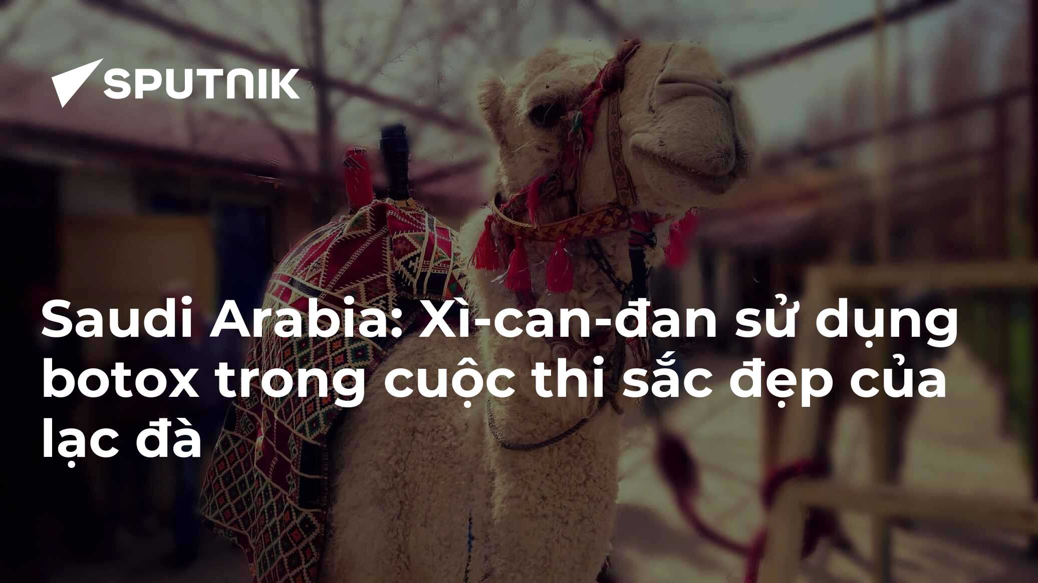Saudi Arabia: Xì-can-đan sử dụng botox trong cuộc thi sắc đẹp của lạc ...